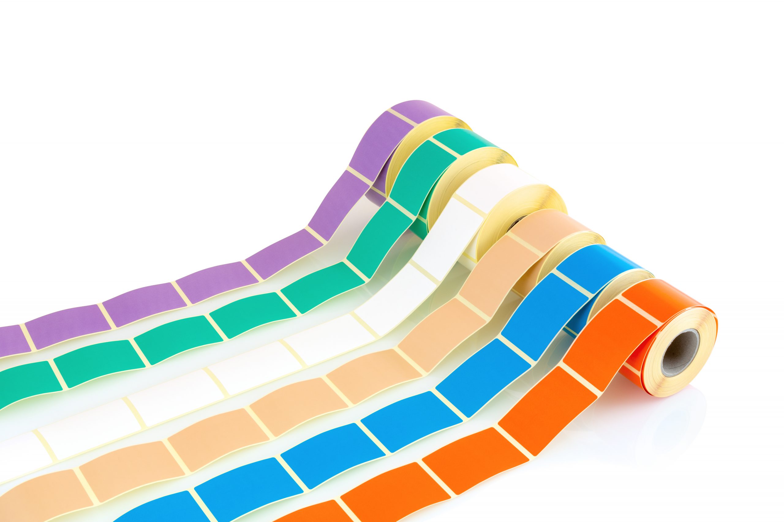 Title and Tag Transfer in Florida - Kars4Kids Hub