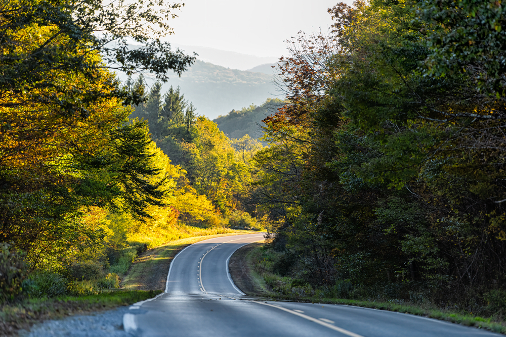Rural Roads are not as tranquil as you think (so buckle up) - Kars4Kids Hub